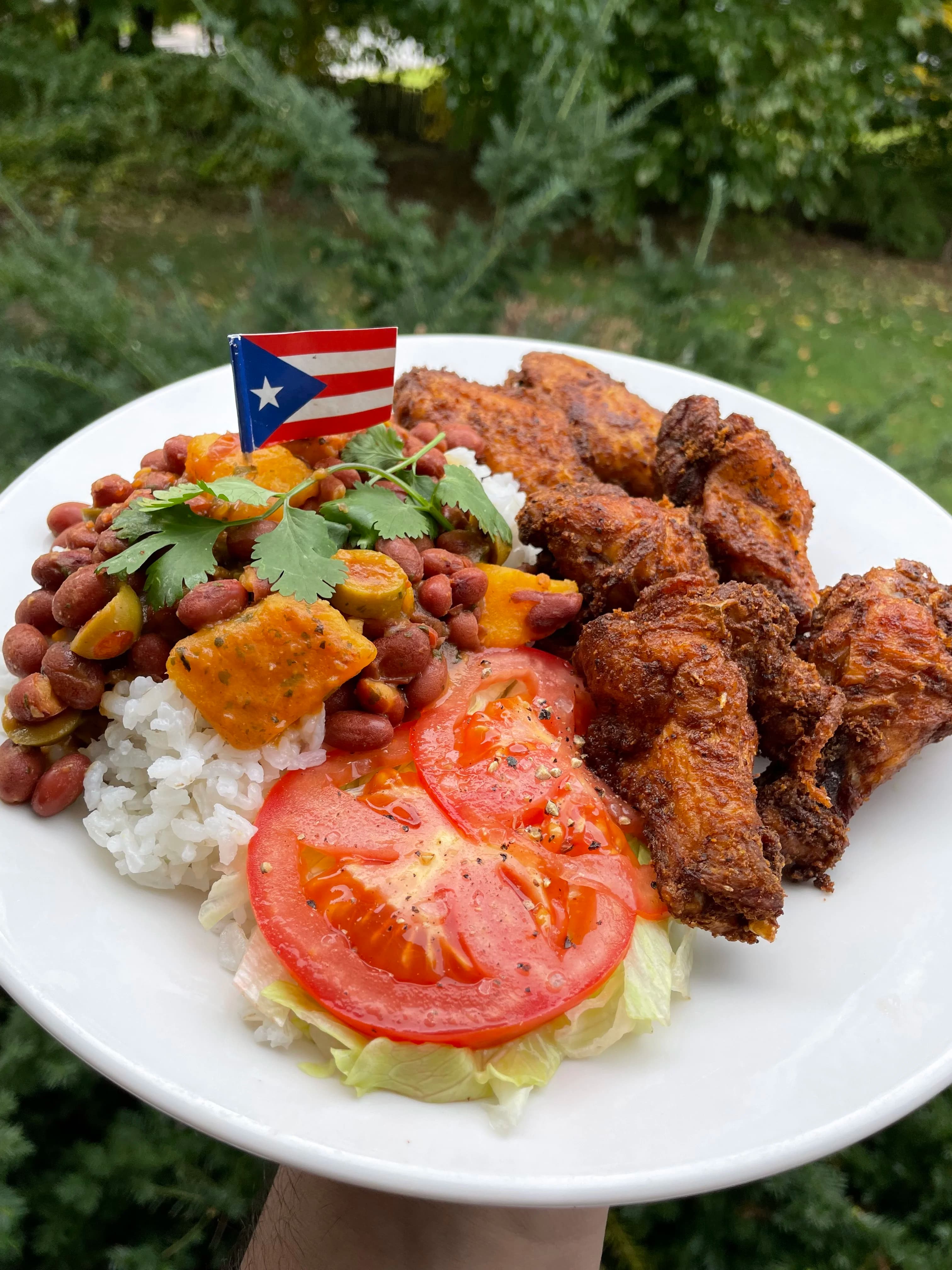 Crispy Chicken Wings By Chefedgardo 0737